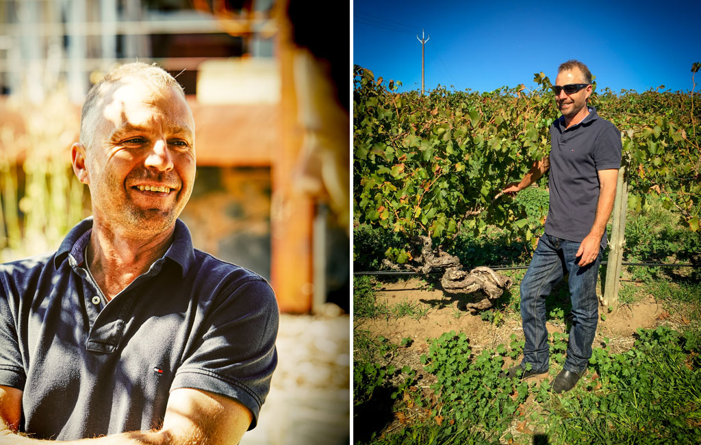 Schwarz Wine Co - Barossa Valley South Australia - Ergo Wines